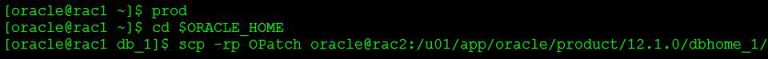 Step By Step Apply 12c Grid And Db April 2018 Psu To Oracle 12cr1 2 Node Rac Oracledbwr 3284