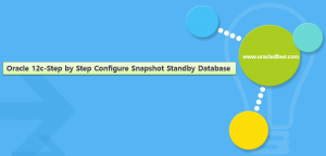 Oracle 12c-Step by Step Configure Snapshot Standby Database | Oracledbwr