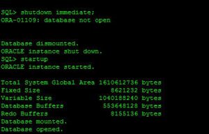 Oracle 12c-Step by Step Manual Reinstate Failed Primary Database using Flashback | Oracledbwr