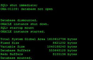 Oracle 12c-Step by Step Configure Snapshot Standby Database | Oracledbwr