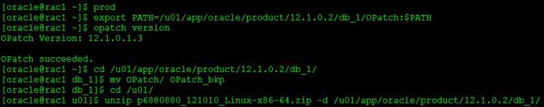 Step By Step Apply 12c Grid And Db April 2018 Psu To Oracle 12cr1 2 6137