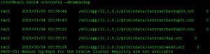 Oracle Cluster Registry in RAC (OCR) | Oracledbwr
