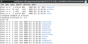 Analyze Oracle Server Diagnostic Information Using OSWatcher Tool ...