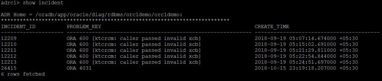 Oracle Automatic Diagnostic Repository | Oracledbwr