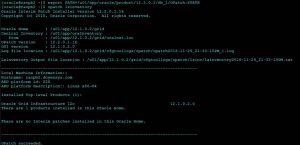Step by Step Apply Rolling PSU Patch In Oracle Database 12c RAC ...