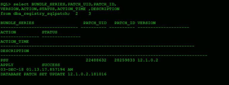 Step By Step Apply Rolling Psu Patch In Oracle Database 12c Rac