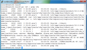 Oracle Trace File Analyzer Tips And Tricks | Oracledbwr