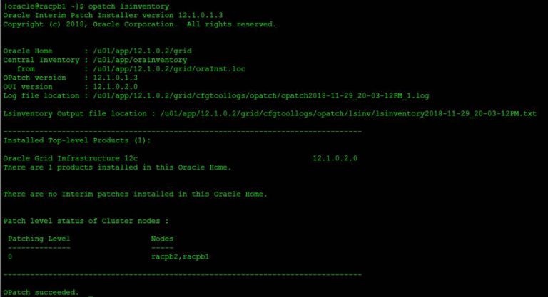 Step by Step Apply Rolling PSU Patch In Oracle Database 12c RAC ...
