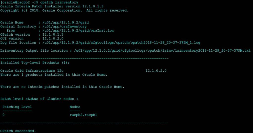 Step by Step Apply Rolling PSU Patch In Oracle Database 12c RAC ...