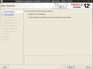 Step by Step Upgrade Oracle RAC Grid Infrastructure and Database from 11g to 12c | Oracledbwr