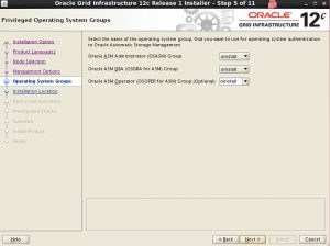 Step by Step Upgrade Oracle RAC Grid Infrastructure and Database from 11g to 12c | Oracledbwr
