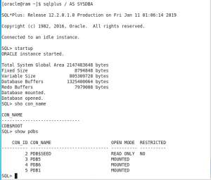 Oracle Pluggable Database Automatic Startup | Oracledbwr