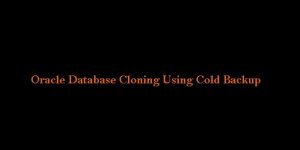 Oracle Database Cloning Using Cold Backup | Oracledbwr