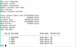 Oracle Pluggable Database Automatic Startup | Oracledbwr