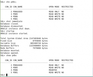 Oracle Pluggable Database Automatic Startup | Oracledbwr