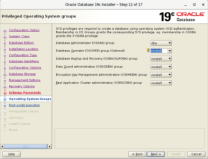 Step by Step Oracle 19c Installation On Linux | Oracledbwr