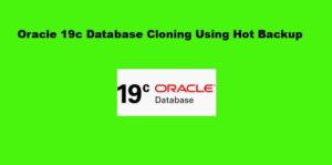 Oracle 19c Database Cloning Using Hot Backup | Oracledbwr