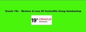 Oracle 19c – Restore A Loss Of Controlfile Using Autobackup | Oracledbwr