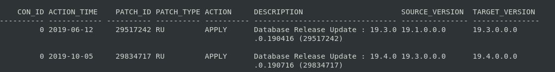 Apply Patching On Oracle 19c Database Release Update 19 5 0 0 0 Oracledbwr