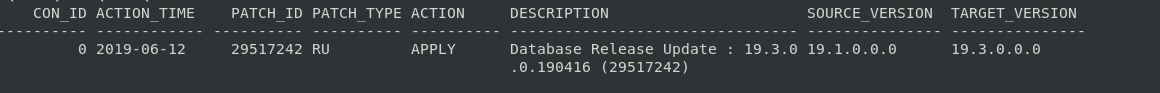 Apply Patching On Oracle 19c Database Release Update 19 4 0 0 0 Oracledbwr