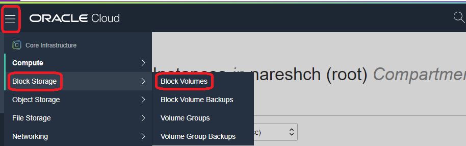 Oracle Gen2 Cloud-Expanding an Instances Storage | Oracledbwr