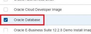 Creating A VM Instance for Oracle Database In Oracle Cloud Infrastructure(OCI) | | Oracledbwr