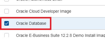 Creating A VM Instance for Oracle Database In Oracle Cloud ...