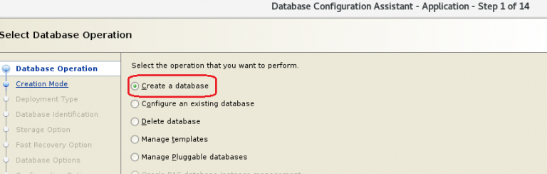 Creating A MultiTenant Database In Oracle 19c | Oracledbwr