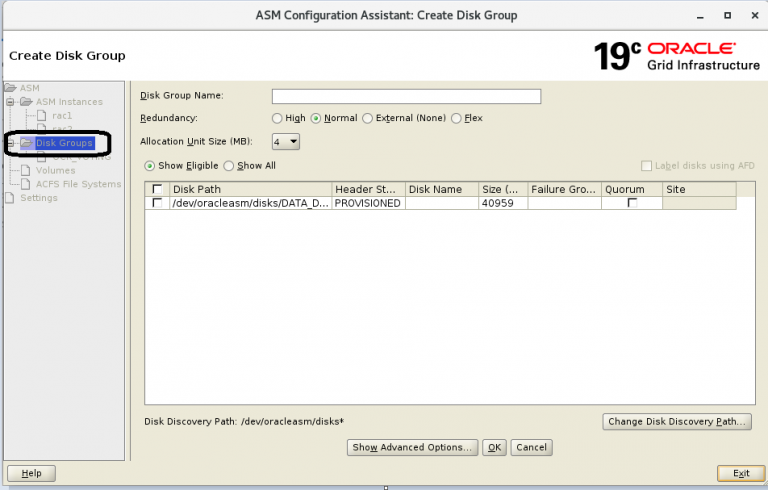 Step by Step Create ASM Diskgroup For 2 Node Oracle 19c Rac Database | Oracledbwr