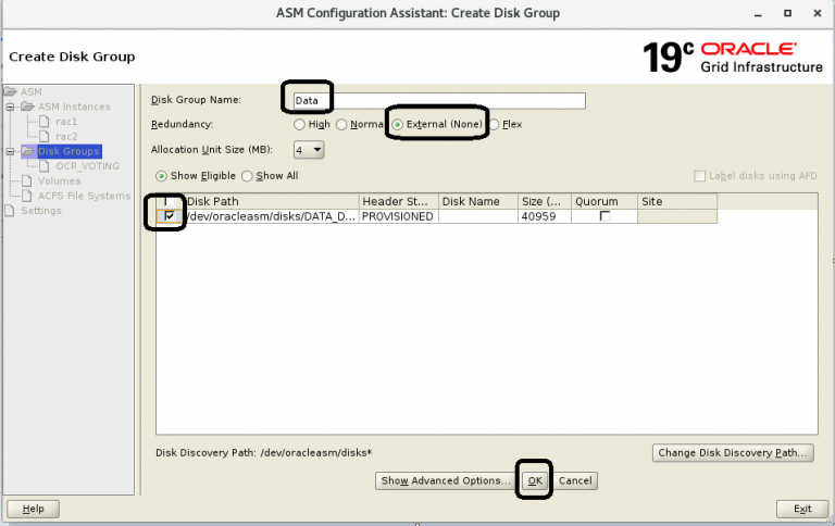 Step By Step Create Asm Diskgroup For 2 Node Oracle 19c Rac Database Oracledbwr