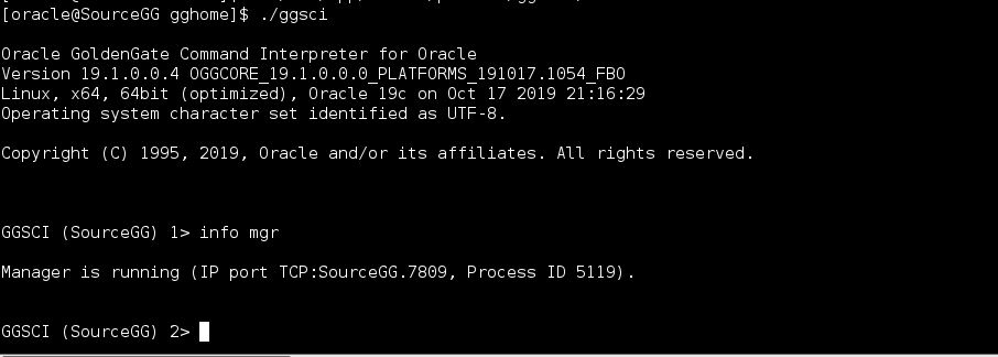 Installing Oracle 191004 Goldengate On Linux Server Oracledbwr