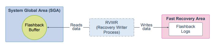 Oracle Recovery Writer Process (RVWR) Background Process | Oracledbwr