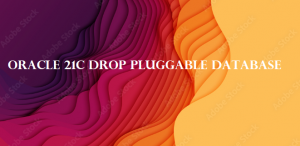 Oracle 21c Drop Pluggable Database | Oracledbwr