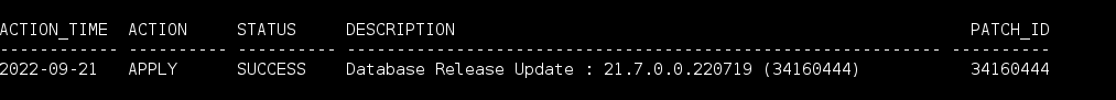 Apply Patching On Oracle 21c Database Release Update 217000 6072