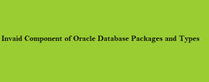 Invalid Component Of Oracle Database Packages And Types | Oracledbwr